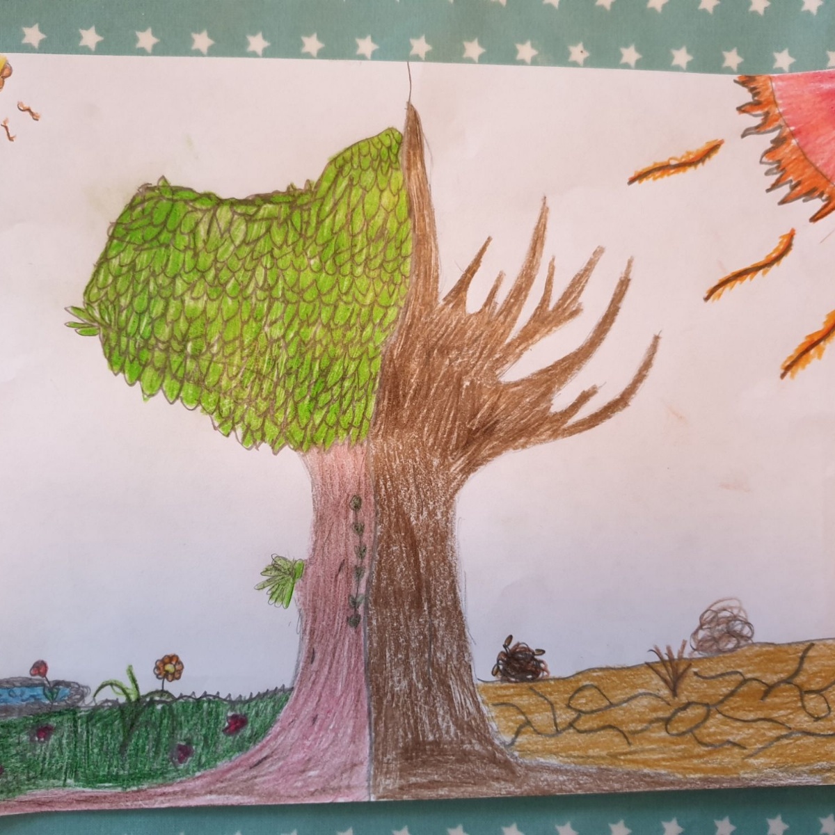 Upton Junior School - 6Y Global Warming Homework Posters